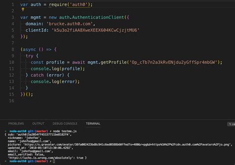 Npm Error Argument Documentpath Is Not A Valid Resourcepath Auth0 Community