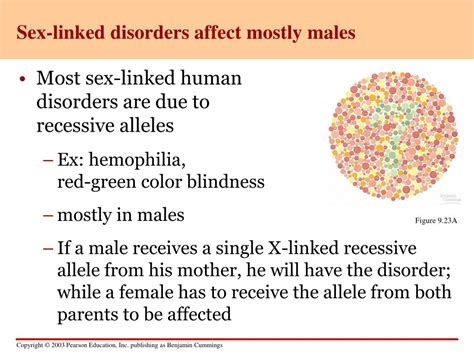 Ppt Gregor Mendel Peas Please Powerpoint Presentation Free Download Ppt Gregor Mendel Peas Please Powerpoint Presentation Free Download