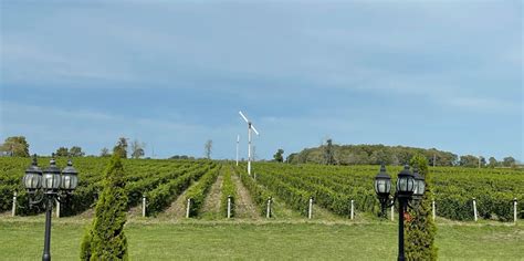field notes pop up gallery and opening reception prince edward county