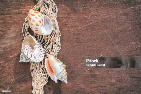 나무 테이블에 프레임 텍스트 복사 공간 평면도로 낚시 그물에 바다 조개 0명에 대한 스톡 사진 및 기타 이미지 0명 3가지