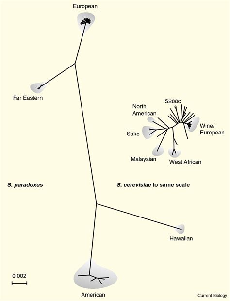Dyslexia Semantic Scholar