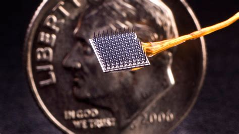 Brain Computer Interface Guides Speech Disabled Persons Intended Words To Computer Screen