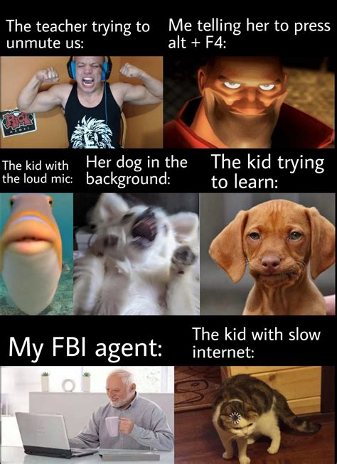 Internet Class Memes Humourew
