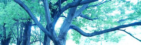 Redux Sagaなる厄介な中年管理職を追放してコード浄化を図った話 Oskn259