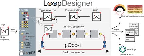 Loop Assembly A Simple And Open System For Recursive Fabrication Of