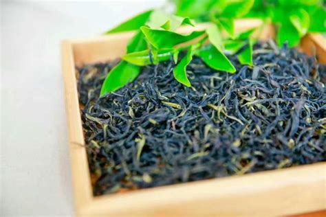 尋找記憶最深處的味道 一泡鳳凰單從茶 每日頭條