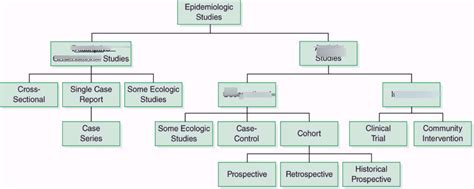 Biostatistics Diagram Quizlet