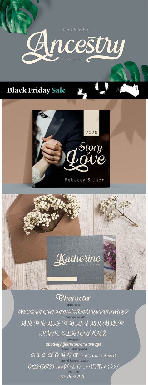 Ancestry Script Font Beautiful Calligraphy Typeface