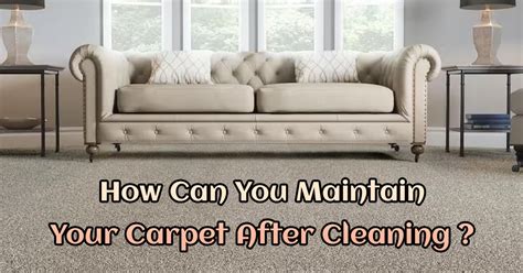 How To Maintain Your Carpet After Cleaning Dirt Tidy