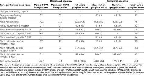 Neuropeptide And Receptor Expression In Dorsal Root Ganglia And Download Table