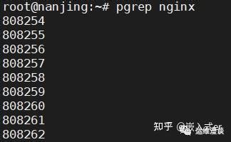 如何在Linux中挂起和恢复进程 知乎
