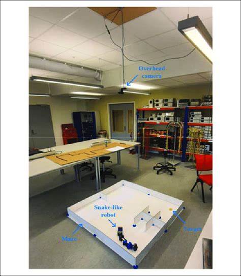 experiment setup for target exploration in a maze download scientific diagram