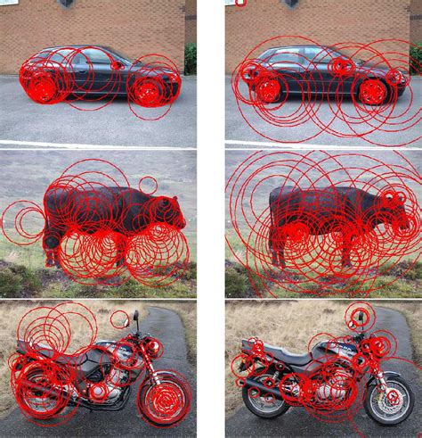 Figure 11 From Learning Models For Multi Viewpoint Object Detection