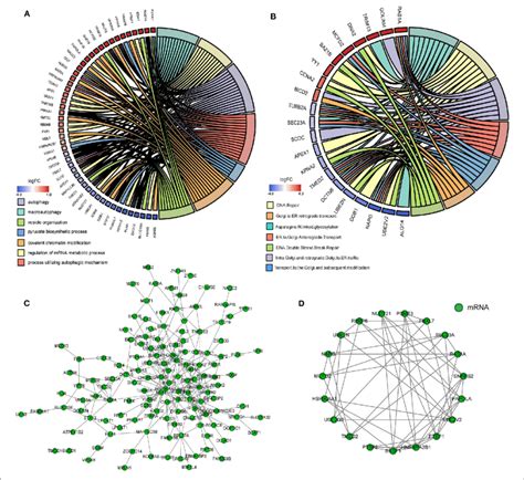 The Functional Annotation And Protein Protein Interaction Ppi Download Scientific Diagram