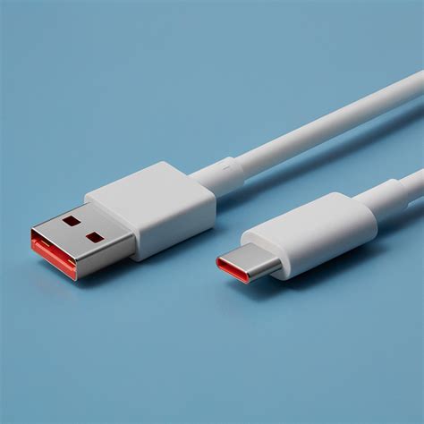 Xiaomi A Type C Cable Dragon Xiang