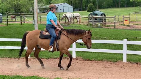 Poco6 200521 Youtube