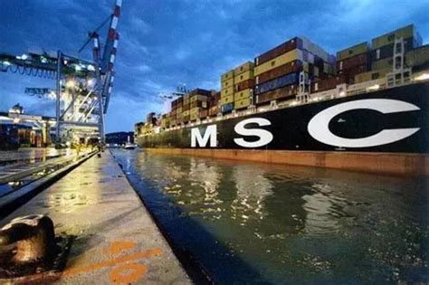 Msc调整欧洲 美东线，南星、正利航业相继开通新航线