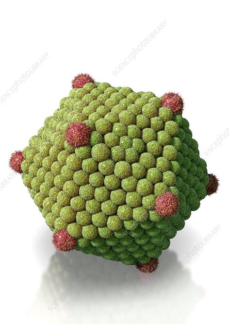 Icosahedral Virus Particle Artwork Stock Image C009 1694 Science Photo Library