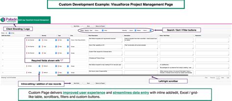 Salesforce Consultant Palladin Technologies