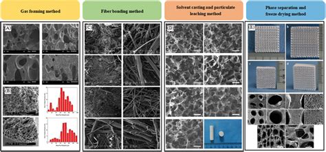 Pore Structure Of Scaffold Fabricated Via Different Methods Ab Gas
