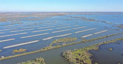 What Are Wetland Mitigation Credits