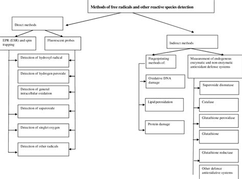 scheme 2 methods of ros detection download scientific diagram