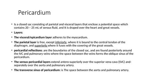 Radiological Anatomy Of The Heart And Great Vessels Pptx