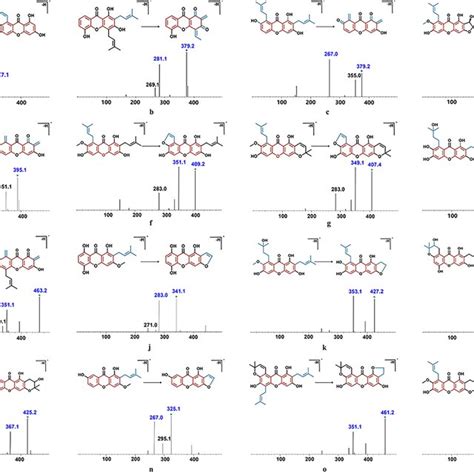 Univariate Experiment Results From The Three Extraction Methods Download Scientific Diagram