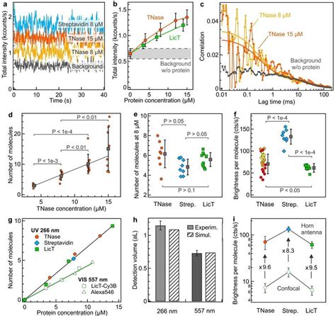 Label Free Uv Fcs On Proteins With A Single Tryptophan Residue Enabled Download Scientific