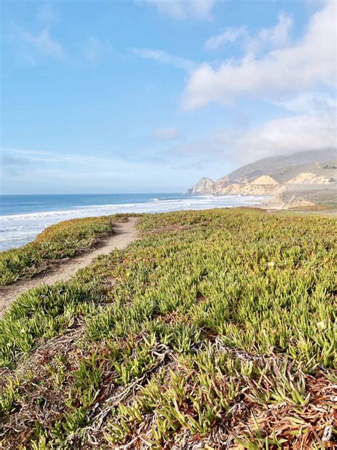 Best Hikes In Half Moon Bay Coastal Bluffs Redwood Forests
