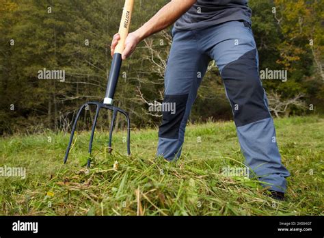 Farmer Collecting Grass Fork Agricultural And Gardening Hand Tool