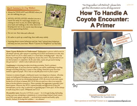 Coyote Yipps Information And Stories About San Francisco Coyotes