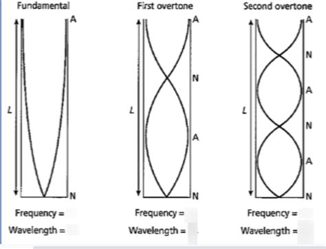 Diagram Of Superposition And Diffraction Quizlet