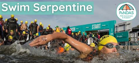Swim Serpentine 2024 Pandas Charity Space Pandas Foundation Uk