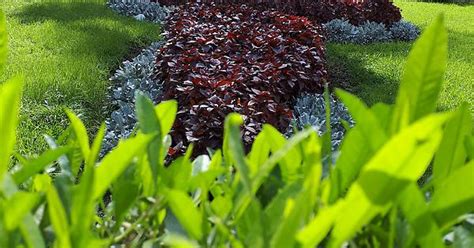 My Captures Album On Imgur