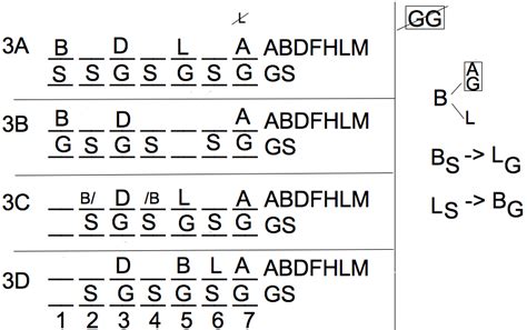 Lsat Logic Games Practice Questions The Explanation
