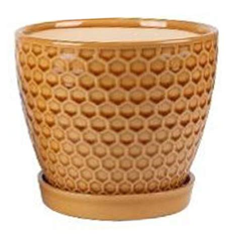 Indoor Sand Honeycomb Ceramic Pot Medium At Home