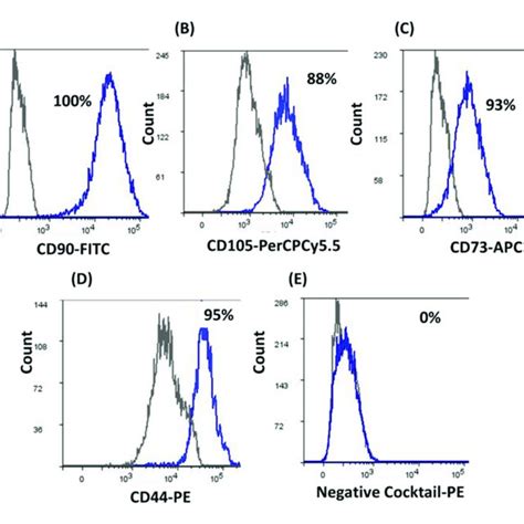 Flow Cytometric Analysis Of Mesenchymal Stem Cells Msc Surface
