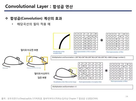 Deep Learning And Convolutional Neural Network Ppt