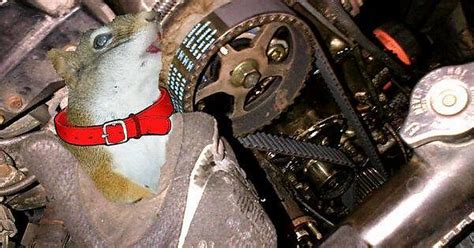 We Joke That My Brothers Geo Tracker Has A Squirrel For An Engine And When It Broke He Made