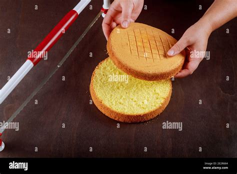 Woman Cut The Top Of Cake With A Serrated Leveler Cake Making A Layer Cake Stock Photo Alamy