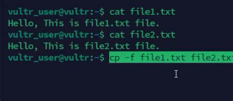 How To Copy Files And Directories In Linux Using The Cp Command Vultr