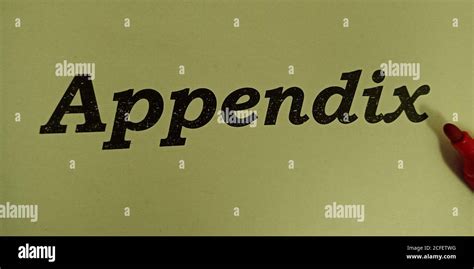 Appendix Word Displayed On Paper Slip Concept For Educational Informative Awareness Stock Photo