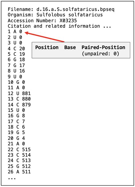 Data Guide For Structures Crw2 Comparative Rna Web 2