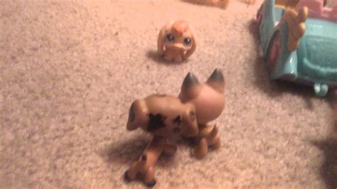 Lps Episode 1005 Youtube