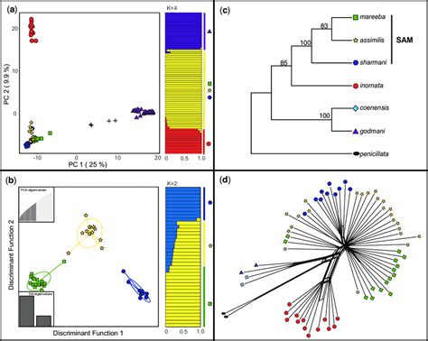 Summary Of Population Genomic A B And Phylogenomic C D Results