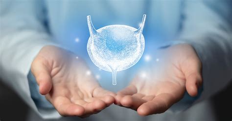 Non Muscle Invasive Bladder Cancer Oregon Urology Institute