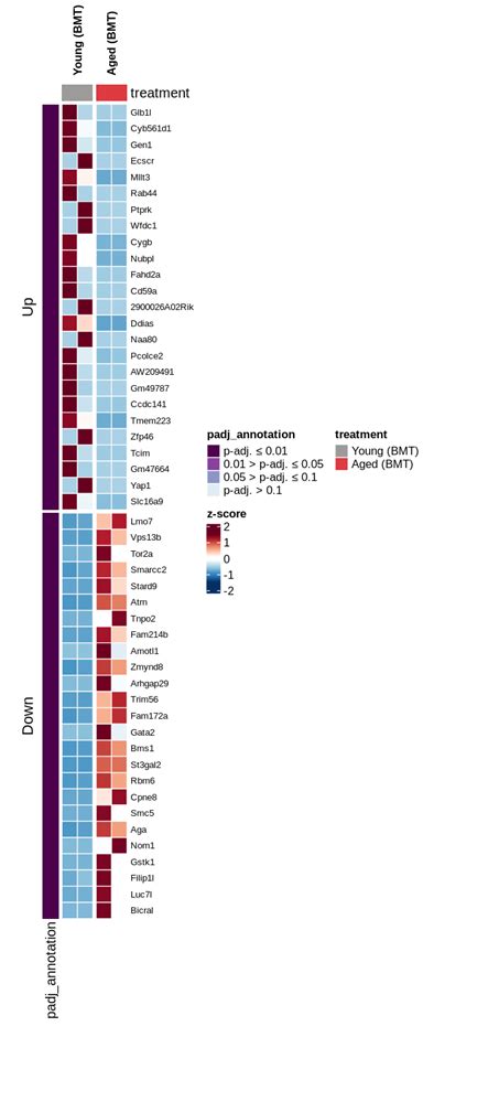 Rectgp For Rowannotation · Issue 1017 · Jokergoocomplexheatmap · Github