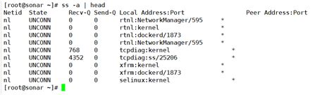 linux ss命令详解 csdn博客