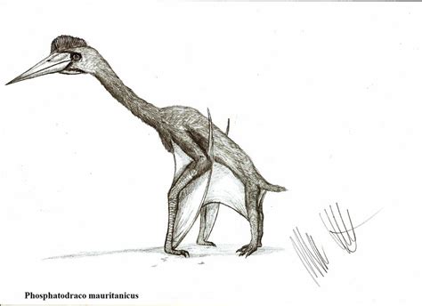 Phosphatodraco Pictures And Facts The Dinosaur Database